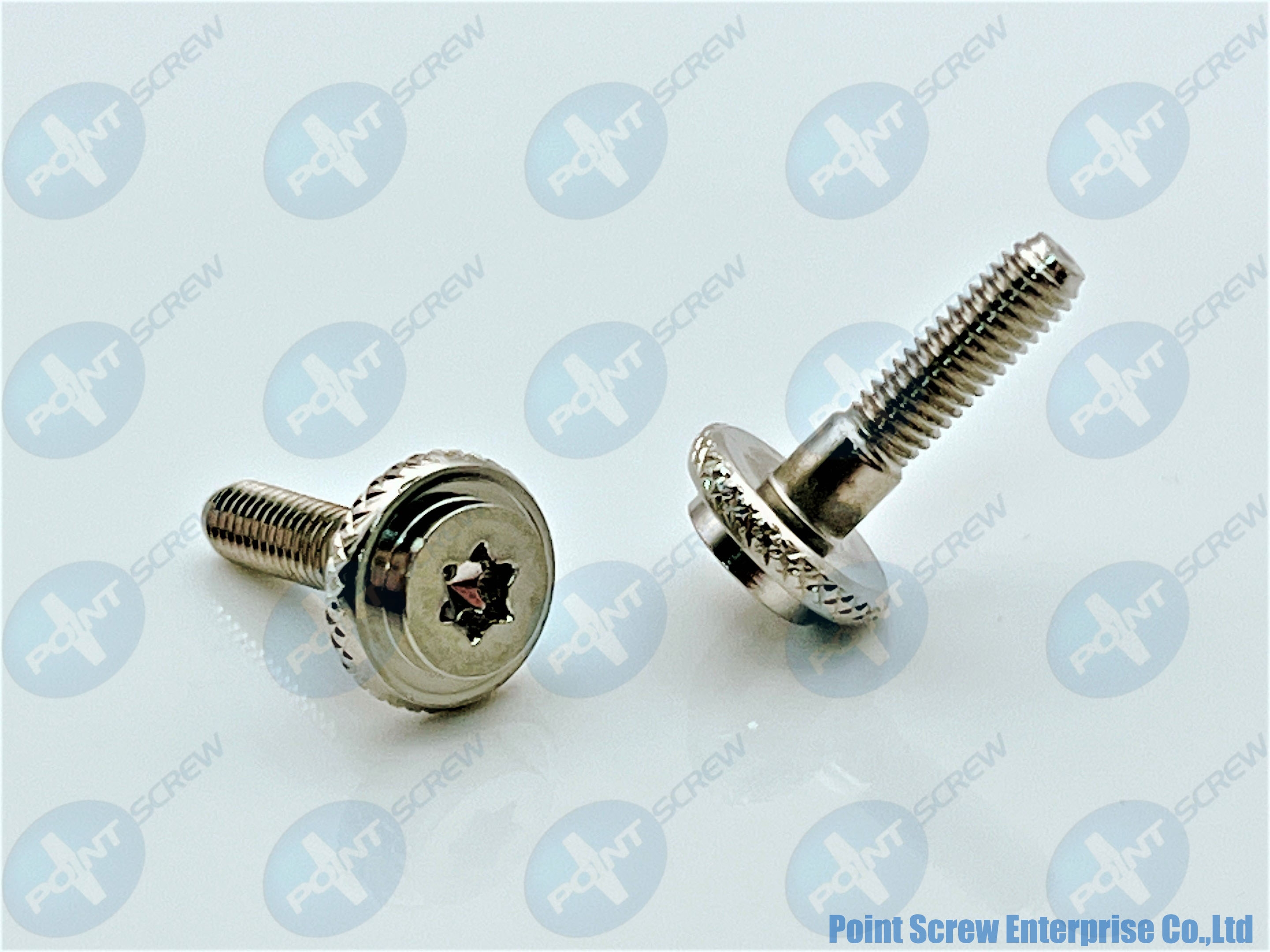 Electronic Screws 027 S-P2-01-1
