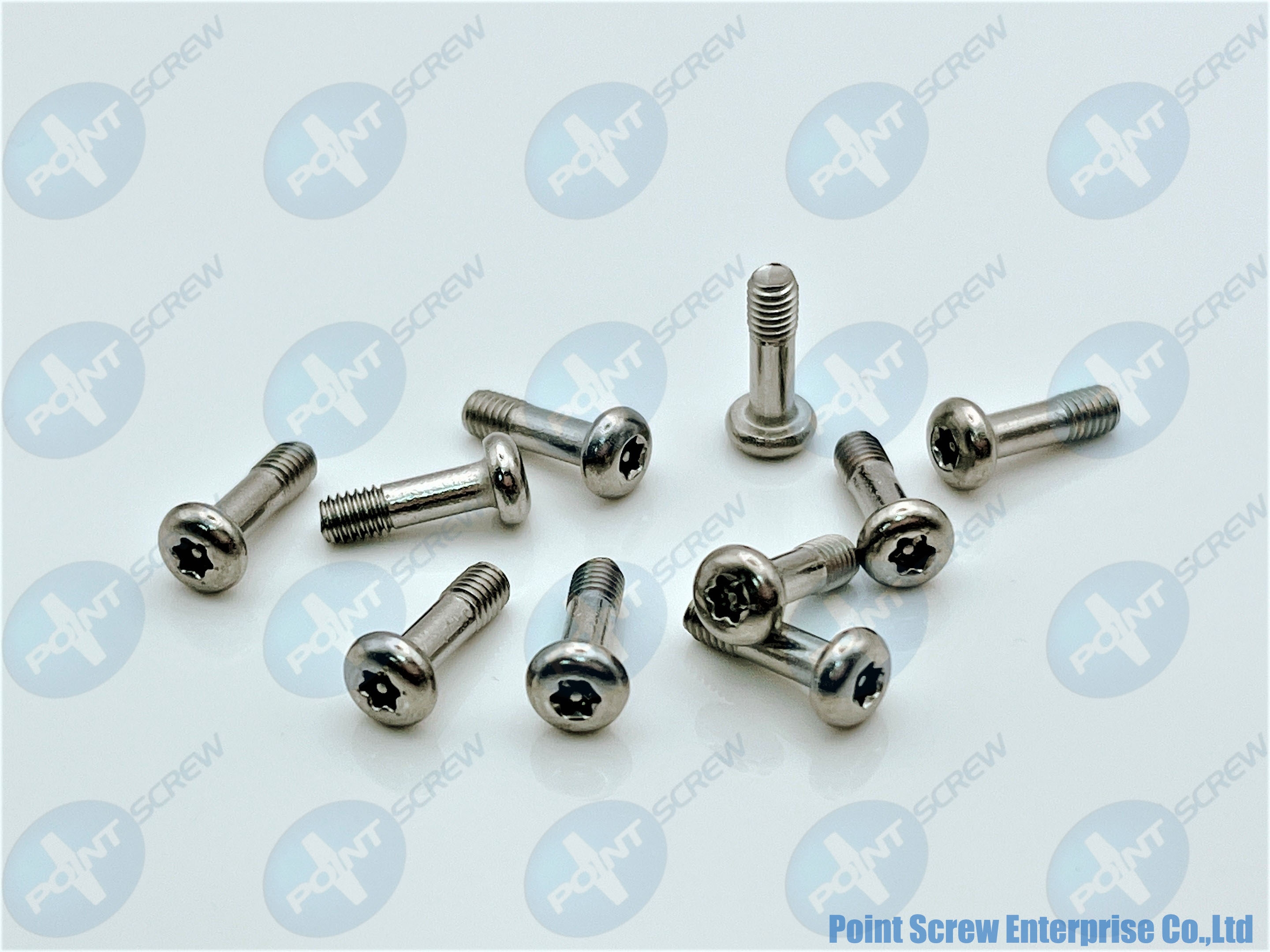 Electronic Screws 029 S-P2-01-3